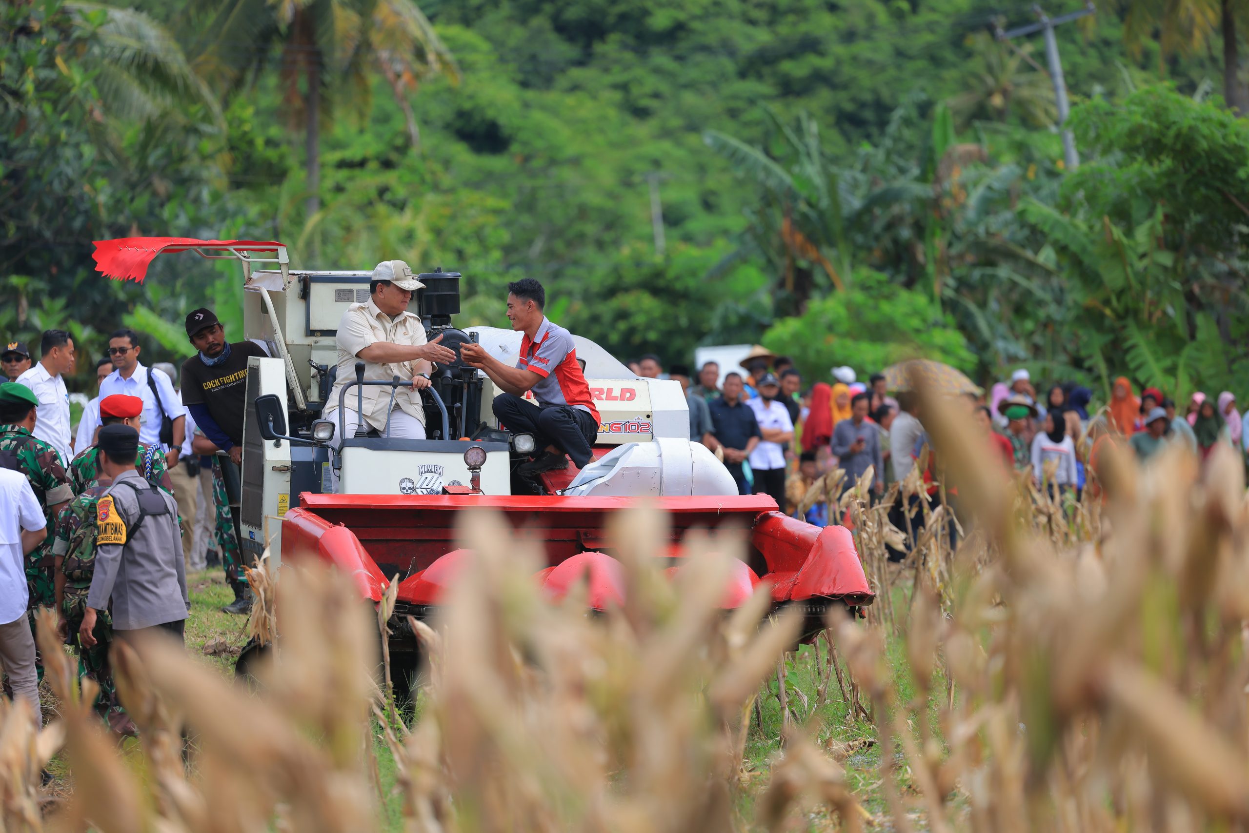Panen Jagung di Lombok, Prabowo: Program Ini Mendukung Ketahanan Pangan ...