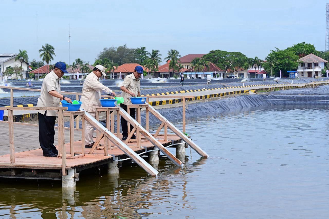 Presiden Prabowo Tinjau Budidaya Ikan Nila Salin di BLUPPB Karawang ...